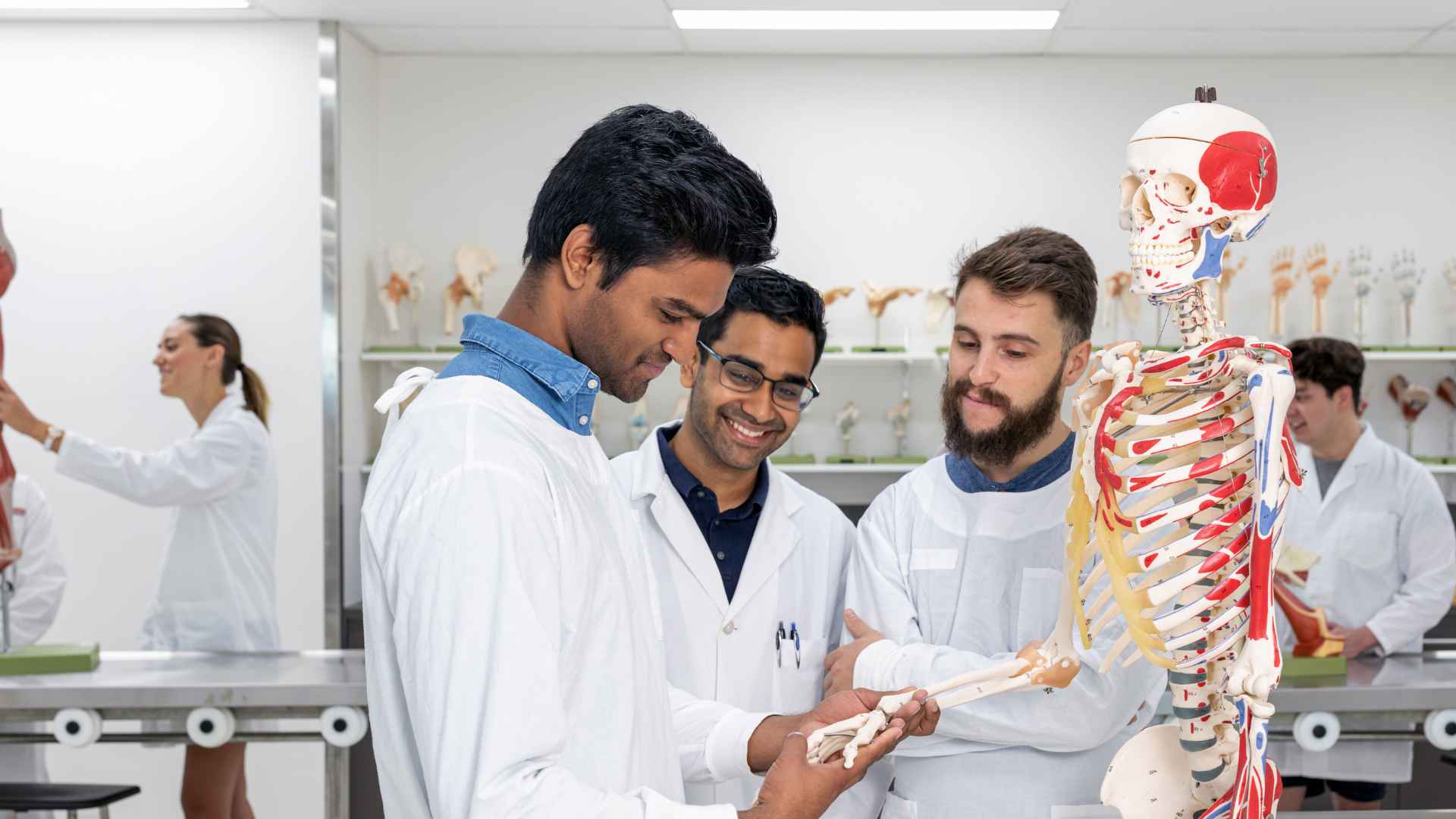 What to Expect at A Cadaver Lab? The Complete Guide | Biotech