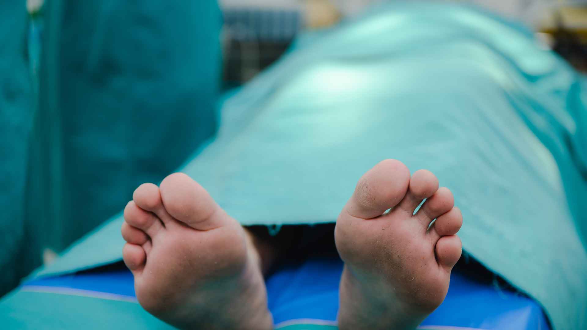 Why Is Cadaver Lab Important? Experiential Learning | Biotech